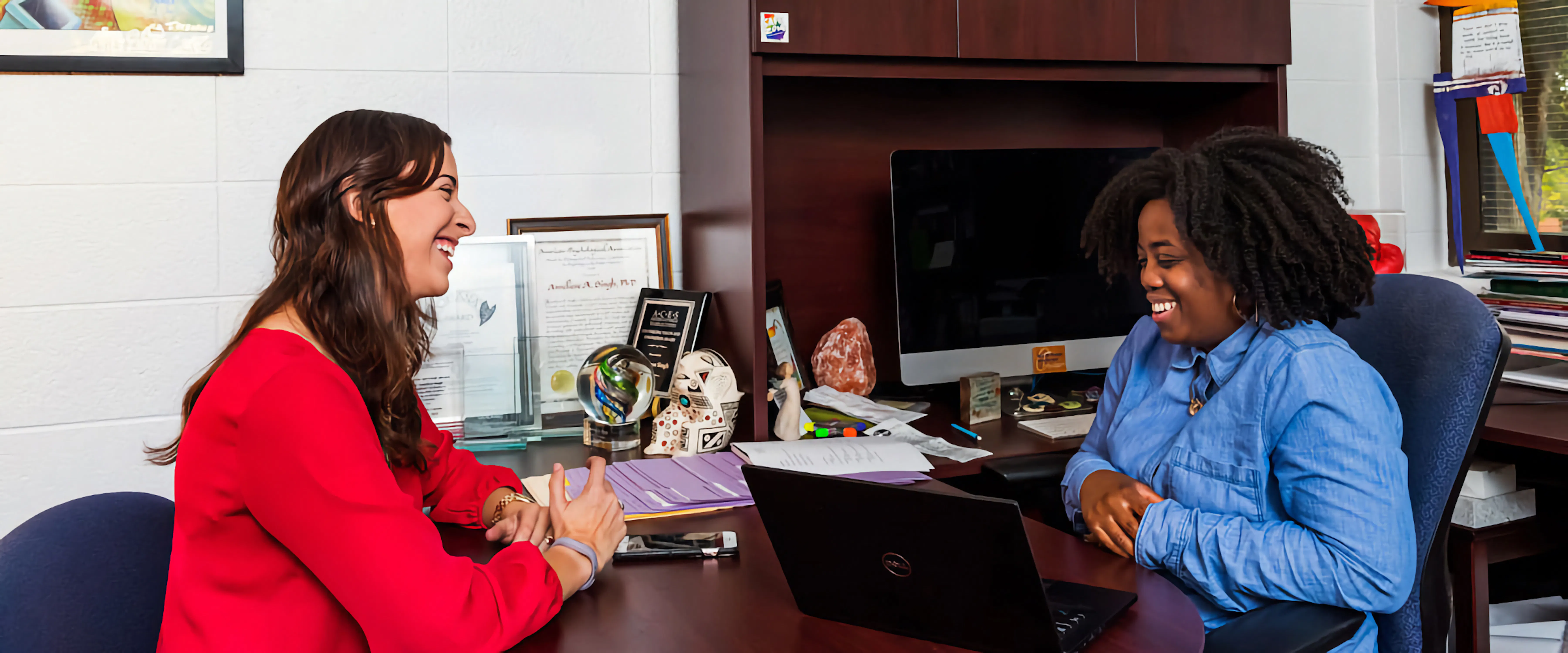 MEd in Professional Counseling (Mental Health Counseling) - Mary ...